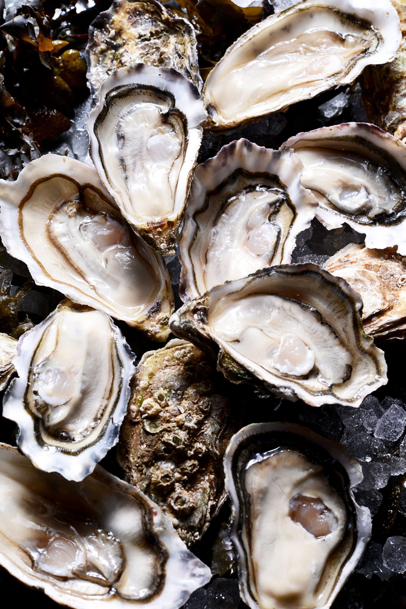 Huîtres fines de Normandie n°3 - Maison Mauger