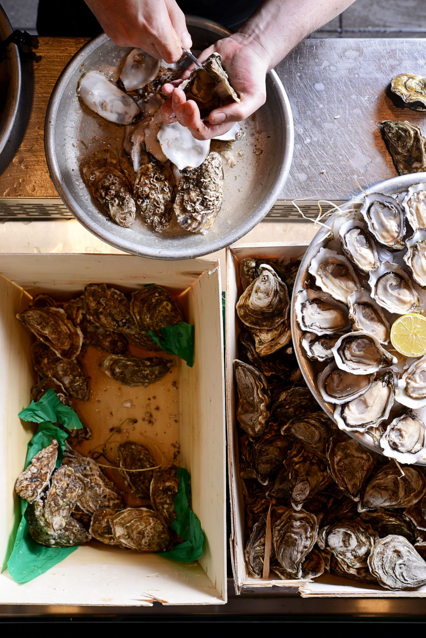 Huîtres spéciales creuses n°3 - Maison Gillardeau